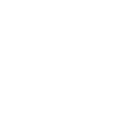 National Single Window System