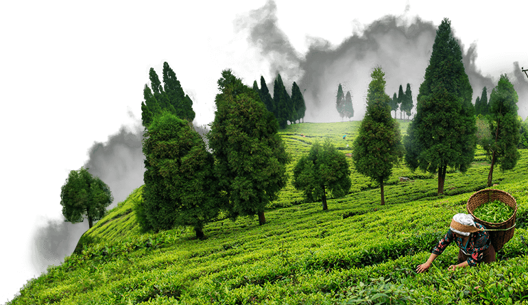 National Single Window System